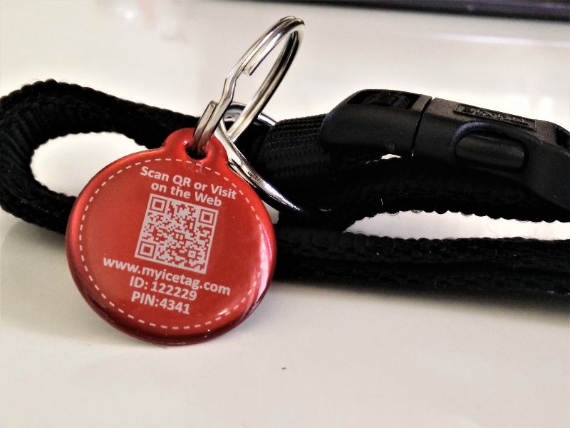 Pet Id Tag Cute Pet Id Tags MyICETag